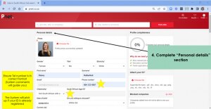 Get your Pnet profile to 100% and Level Up in your career